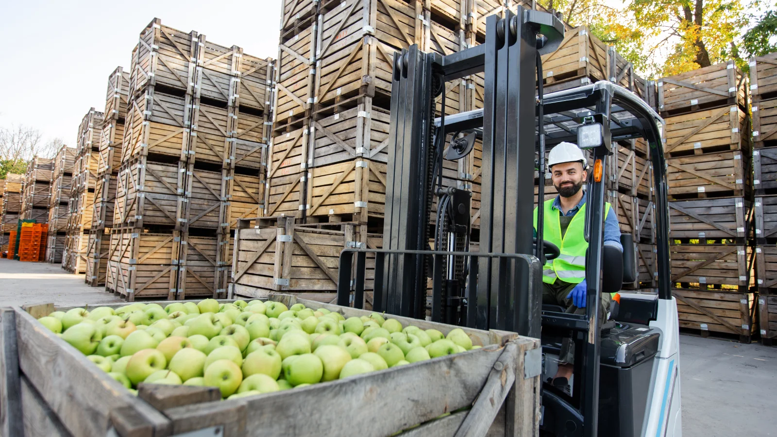 How Cargocair Ensures Safe and Reliable Transportation of Perishable ...